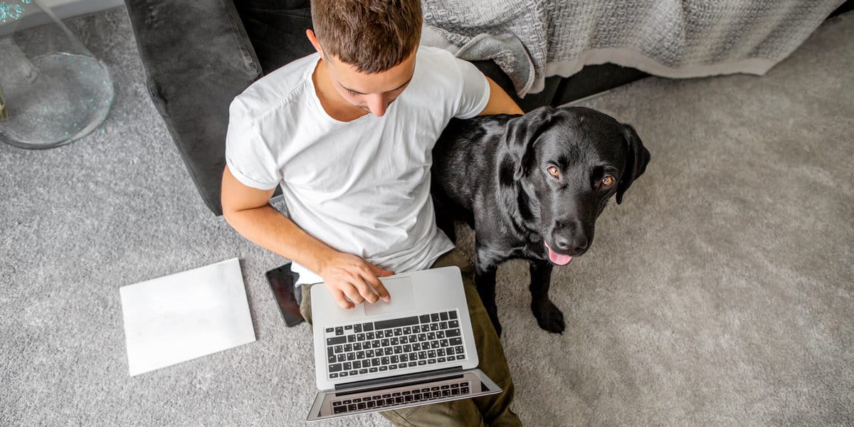 How Do I Find Remote Jobs on Indeed? - Freelancer FAQs